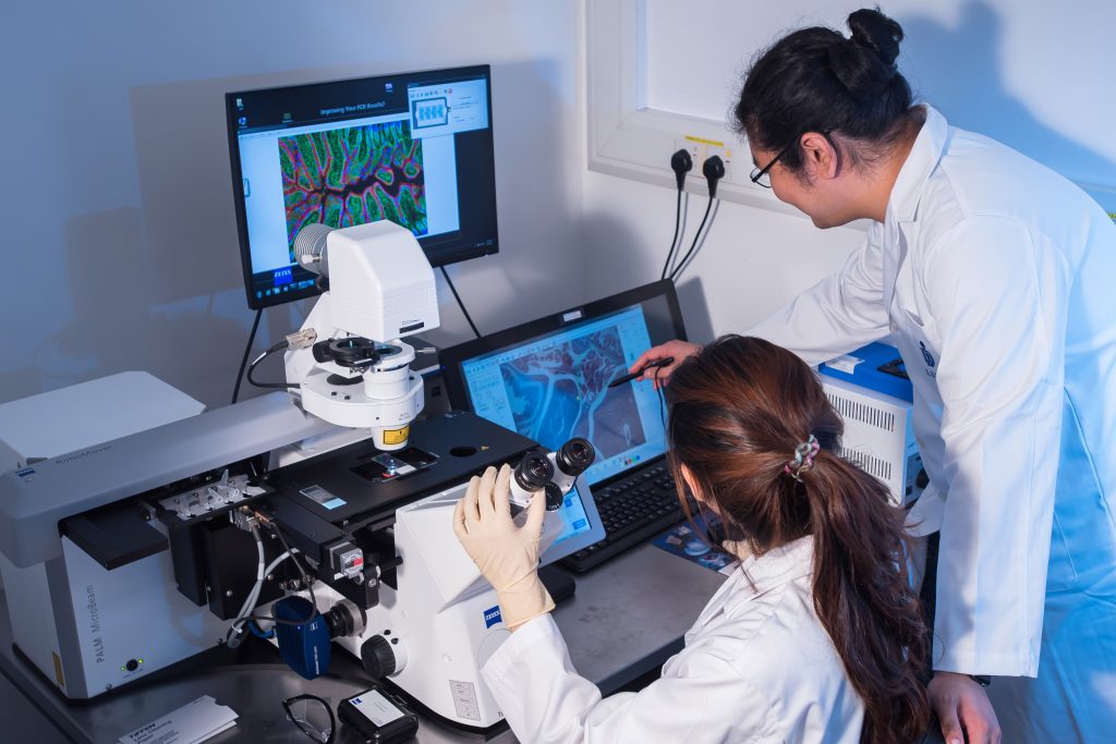 MSc in Biotechnology – The Division of Life Science at HKUST