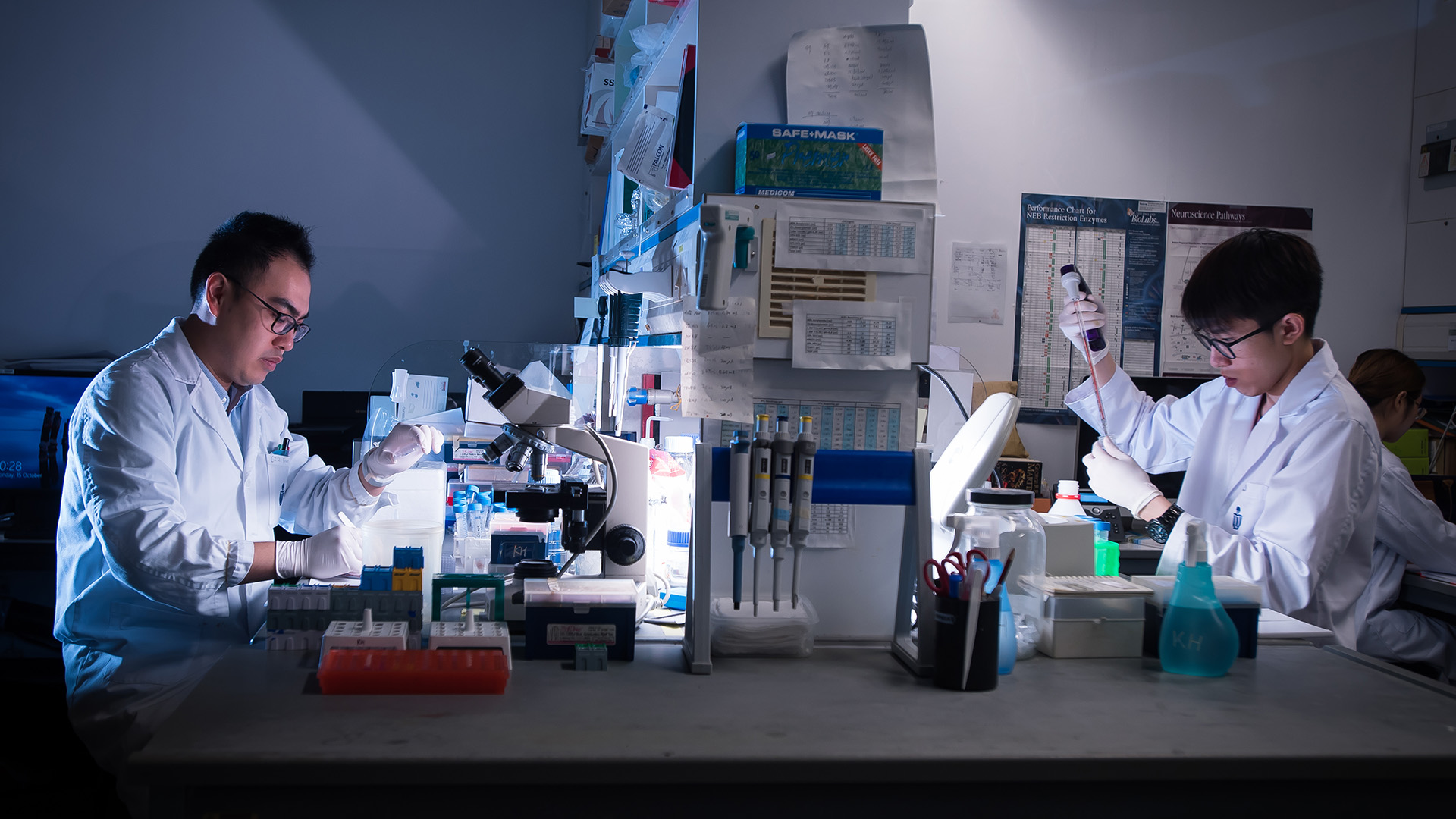 The Division of Life Science at HKUST – HKUST