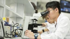 BSc in Biochemistry and Cell Biology (BCB) – The Division of Life ...