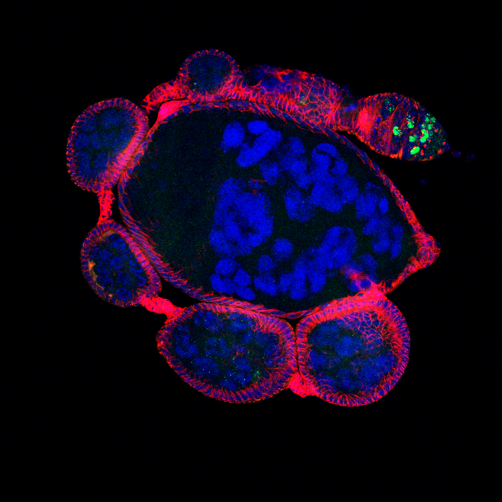 The Division of Life Science at HKUST – HKUST